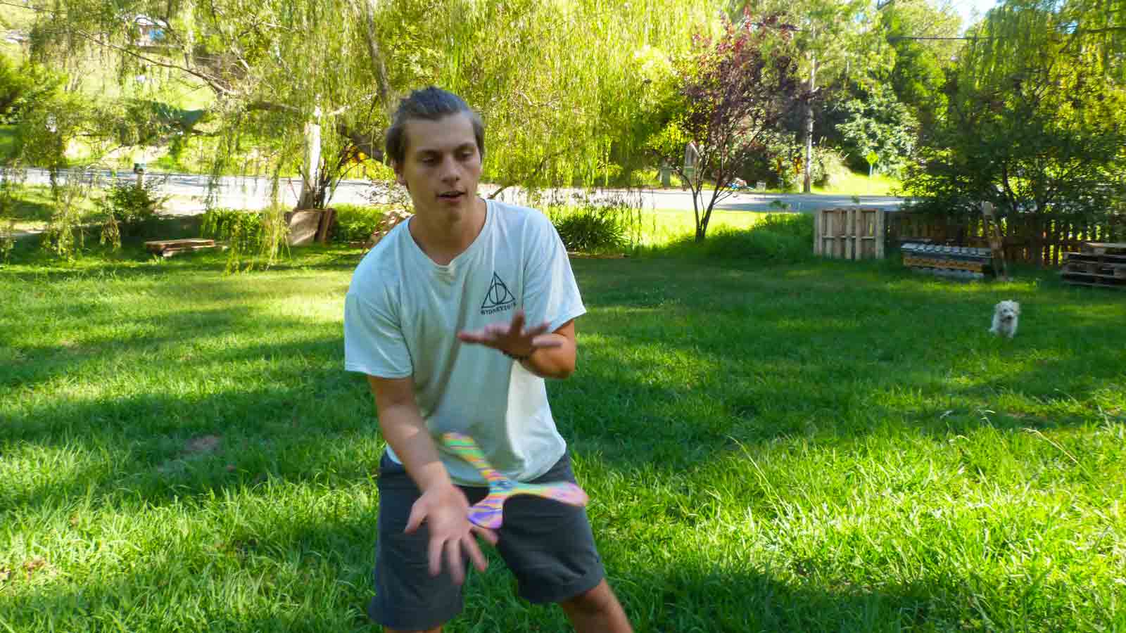 FlyingToyz Boomerangs - what goes around comes around!