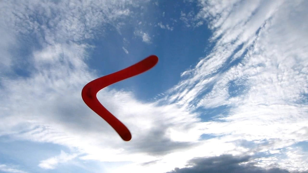 FlyingToyz Boomerangs - what goes around comes around!
