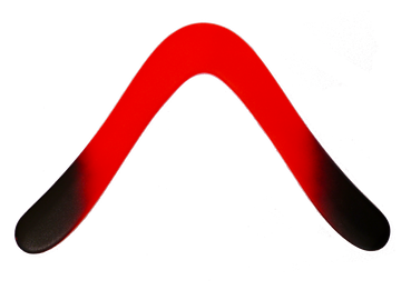 FlyingToyz Boomerangs - what goes around comes around!