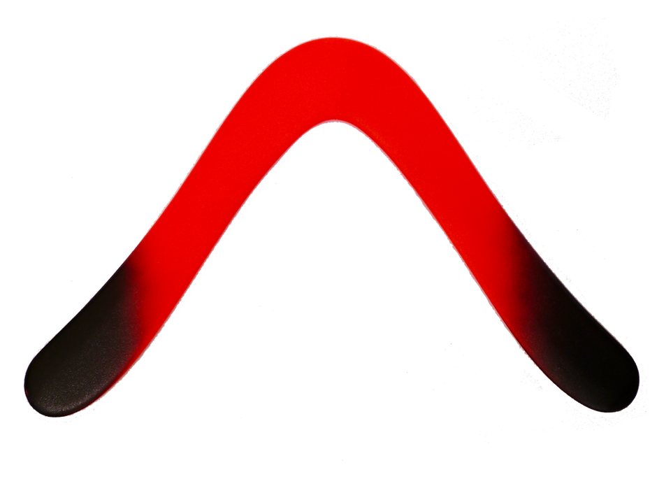 FlyingToyz Boomerangs - what goes around comes around!