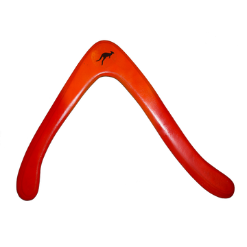 FlyingToyz Boomerangs - what goes around comes around!